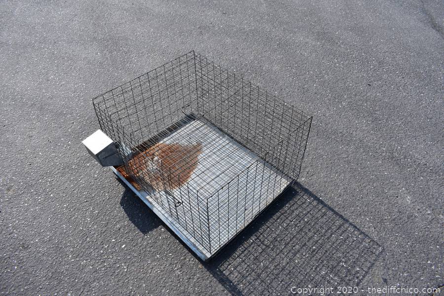 The Difference - Auction: PART 2 August 2020 Oroville, Paradise and ...