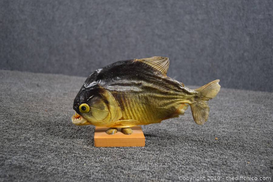 The Difference - Auction: May 2019 Northern CA Estates (CLICK HERE TO ...